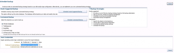Backup Oracle Database menggunakan RMAN di OEM 12c Cloud Control